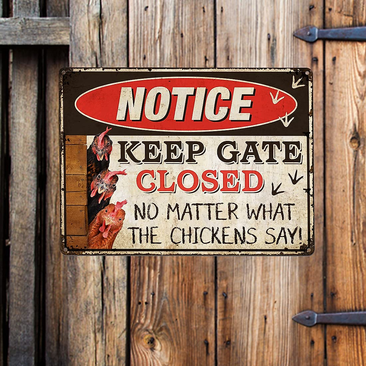 Warning Chicken Signs For Coop Funny Outdoor - Keep Gate Closed No Matter What The Chickens Say Aluminum Rust Free 9" X 11", Pre-Drilled Holes, Weather Resistant