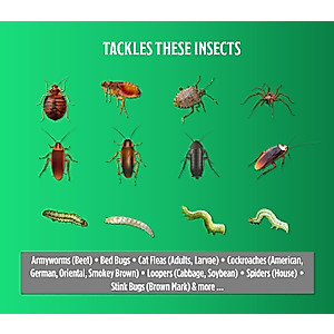 Grandpa Gus's Advanced Natural Pest Control Spray with Clove & Cottonseed Oil - Indoor & Outdoor Insect Killer for Spiders, Ants, Roaches, Earwigs, Bed Bugs & More, Pet-Friendly, 16 fl oz