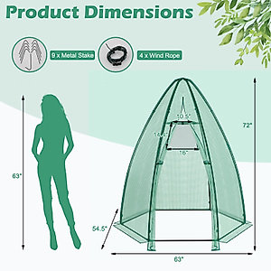 Safstar Portable Mini Greenhouse, Garden Greenhouse W/ All-Weather PE Cover, Roll-up Door, Mesh Window, Outdoor Plant Greenhouse for Cold & Frost Protection, Garden Tent for Pot Plant, 63" x 63" x 72"