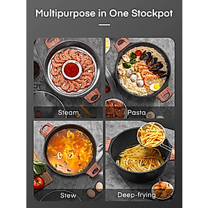 D.Perlla Stock Pot 6-Quart With Glass Lid, Nonstick Granite Aluminum Soup Pot, PFOA free, Dishwasher Safe and Oven Safe Cooking Pot, Induction Pot Compatible with all Stoves, Large Capacity for Stock