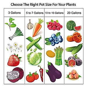 Gardzen 10-Pack 10 Gallon Grow Bags, Aeration Fabric Pots with Handles