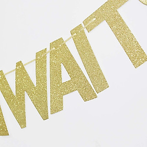 Adventure Awaits Gold Glitter Banner for Travel/Moving Away/Wedding Engagement/Baby Shower/Graduation/Birthday Bridal Shower Party Sign Decors Supplies