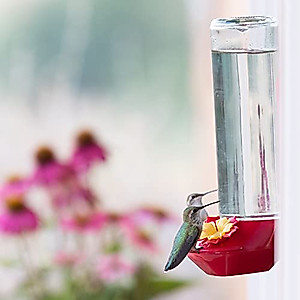 Perky-Pet 455-2 Mounted 445-2 Glass Window Hummingbird Feeder, Red – 14 oz