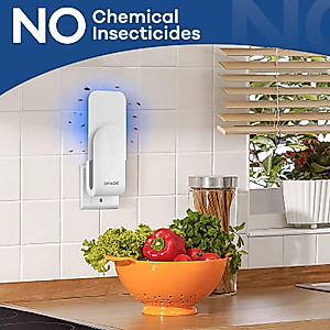 DFAGIE Fly Trap Indoor(1 Device + 5 Glue Cards), Mosquito Trap,Fly Trap,Plug-in Flying Insect Trap for Flies, Fruit Flies, Mosquito, Moths, Gnats, Gnat,White