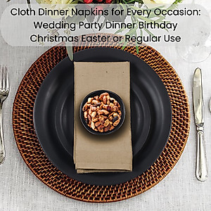 Dine n Decor Set of 12 Cloth Dinner Napkins 100% Cotton - Soft Durable Washable - Ideal for Farmhouse Party Weddings Christmas Easter - Perfect Everyday Use Cloth Napkins Beige 17x17