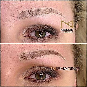 PACK OF 10 - Mellie Microblading Disposable Microblading Pen with Pigment Sponge Disposable Tool For Creating Eyebrows Microblading Supplies (Black, U18 .18mm)
