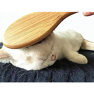 Patina Dog Cat Brush for Shedding, Natural Bamboo Boar Bristles Brush, Pet Grooming Supplies for Short and Long Haired Dogs Cats, Gentle Easy Grooming Massage, Japanese design