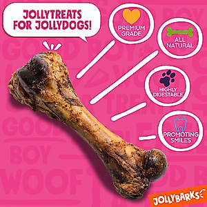 Jolly Barks Ham Femur Bone for Dogs | Savory Dog Chew Bones | Single Ingredient, Healthy Dog Bones for Dogs (3 Pack)