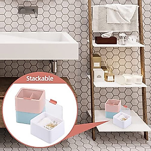 Tecbeauty 2 Slot Cotton Swab Ball Qtip Holder Jar Plastic Container Dispenser Box with Hinged Lid for Bathroom Home Storage Organizer