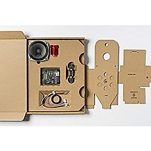 Google AIY Voice Kit