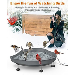 Heated Bird Bath for Outdoors for Winter - 60W Thermostatically Controlled Birdbath Heater for Winter with Large Capacity, All Seasons Available Bird Bath Heater for Outdoor in Winter Garden Yard
