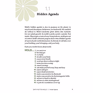 Break the Mold: 5 Tools to Conquer Mold and Take Back Your Health