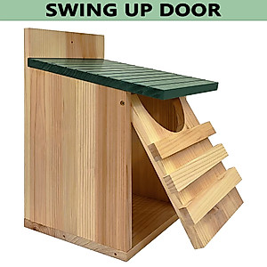 Prolee Screech Owl House Hand Made, 100% Cedar Wood Owl Box with Mounting Screws and A Bag of Wood Shavings, Easy Assembly Required (Basic)