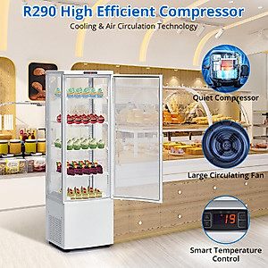 238L refrigerated display cabinet, floor-standing glass door refrigerator, with LED lighting and automatic defrost function, adjustable internal shelves, suitable for bars, restaurants, offices, homes
