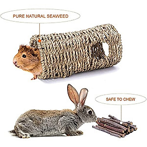Hamster Seagrass Tunnel Chew Toys Set, Grass Tunnel House, Natural Grass Balls Apple Branch Wood Teeth Care Molar Toys for Gerbils,Hamsters Rats Syrian Small Animal Toys Exercise Accessories (7 Pack)