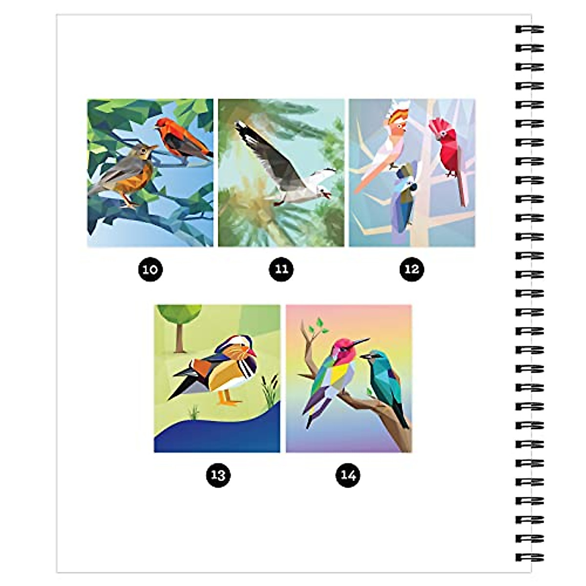 Brain Games - Sticker by Number: Birds