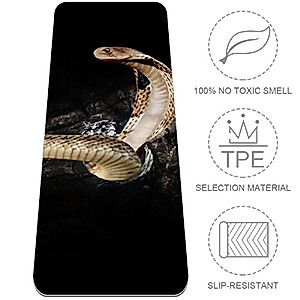 Yoga Mat, Yoga Mats for Home Workout, Workout Mat, Exercise Mats, Pilates Mat, Snake