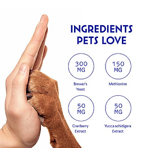 Wonder Paws Grass Hero, Grass Burn Spot Chews – Neutralizes Urine to Prevent Yellow Lawn Spots – Dog Pee Lawn Saver, Spot Treatment & Urinary Health – Cranberry & Methionine – 60 Soft Chews