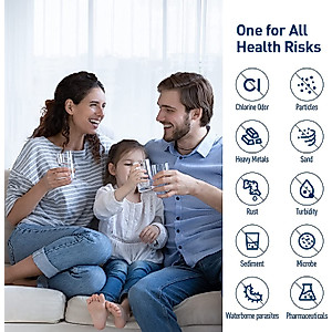 PERCOLA 3MFF101 Under Sink Water Filter, Replacement for Under Sink Full Flow Filtration System 3M Aqua-Pure 3MFF100, 70020249663 6,000 Gallons (1 Pack)