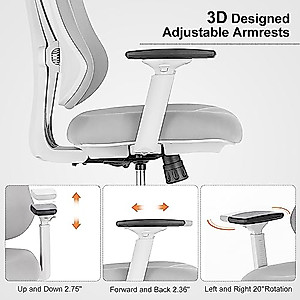 BV Dual Backrests Ergonomic Office Chair, Lumbar Support Office Desk Chair Back Support, Breathable mesh Office Chair 3D Adjustable Armrest (Grey)