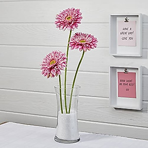 FloraCraft Diamond Dust Glitter 3 Ounce Clear Glass