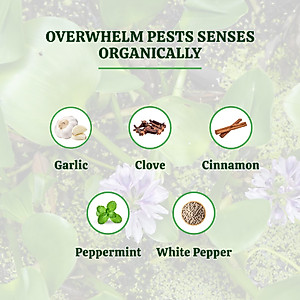 Pride Lands Defense - Organic Pest Control for Indoor & Outdoor Plants/Insect Repellent/Eliminate Mites, Gnats, Thrips, & Aphids/Safe for Pets & Children/Vegetable & Flowering Gardens, 5lb