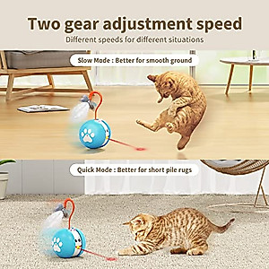 Vepnanline Cat Toys for Indoor Cats Automatic Interactive Cat Laser Toy Rechargeable Cat Ball Toys with Feathers(Blue)