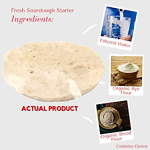 Fresh Sourdough Starter