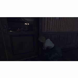 Remothered: Broken Porcelain (Nintendo Switch)