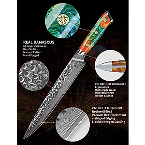 SANMUZUO 9 Inch Carving Knife, Slicing Knife - Hammered Damascus Steel & Resin Handle - Yao Series