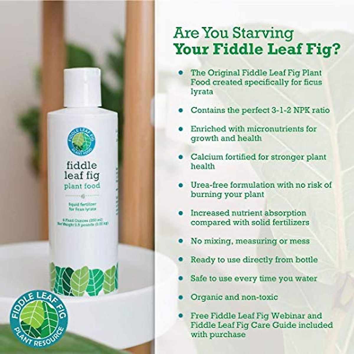 Fiddle Leaf Fig Tree Plant Food for Ficus Lyrata (and Ficus Audrey) – Calcium Fortified, Urea-Free and with NPK Ratio of 3-1-2 for Healthy Roots, Stems and Leaves (8 Ounces))