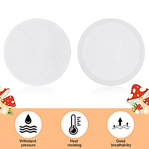 Frienda 30 Pieces Synthetic Filter Paper Stickers 0.3 μm Synthetic Filter Disc Wide Mouth Circular Adhesive Filter Patch Sticker for Mushroom Cultivation Wide Mouth Jar Lids Mason Jars (2.28 Inch)