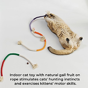 Spindro 3 Pack Cat Catnip Toys for Indoor Cats, Cat Chew Toy for Teeth Cleaning Interactive Cat Teething Toy for Kittens Dog Toys Cat Dental Toy Natural for Aggressive Cats