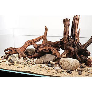 LANDEN Panna Natural Driftwood for Aquarium Decor Freshwater Fish Tank(12-14 inches, 30-35cm) 4pcs Terrariums Vivariums Reptile and Amphibian Enclosures Lizard Bearded Dragon Tortoise Various Shapes