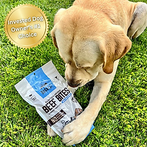 Back 40 Dogs Beef Bites - All Natural Premium Air Dried Dog Training Treats - Free Range Beef, Real Meat - High Protein Dog Food Toppers & Dog Treat - Puppy Essentials, Made in USA - 16oz