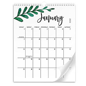 Aesthetic 2023 Floral Wall Calendar - Runs Until July 2024 - The Perfect Office Supplies for Women With Monthly Seasonal Designs for Easy Planning