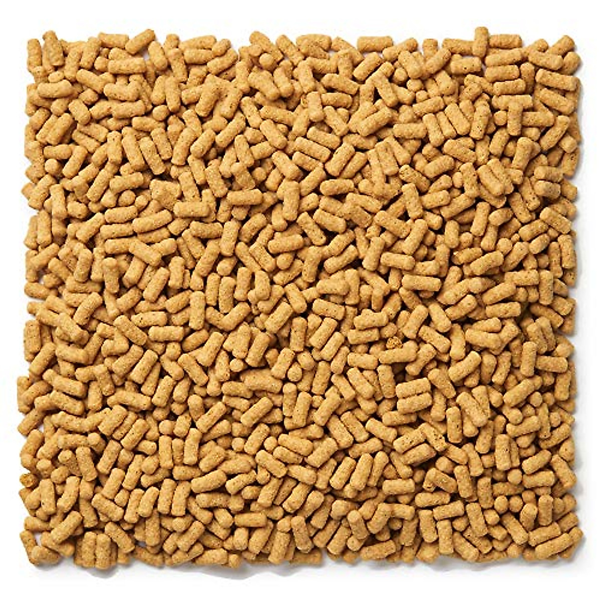 Mazuri | Softbill Diet for Iron-Sensitive Birds | 2 Pound (2 LB) Bag