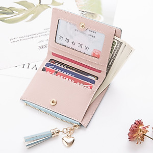 Belsmi Women's Small Compact Slim Leather Mini Wallet Lady Purse Zipper Pocket Card Organizer Bifold Wallets (Pink)