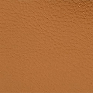 Fossil Women's Parker Leather Mini Backpack Purse Handbag