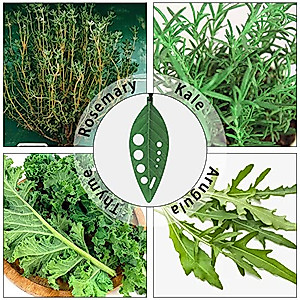 FYY Herb Stripper 9 Holes,Herb Stripping Tool With Leather Protect Cover,Stainless Steel Kitchen Herb Leaf Stripping Tool for Kale, Chard, Collard Greens, Thyme, Basil, Rosemary