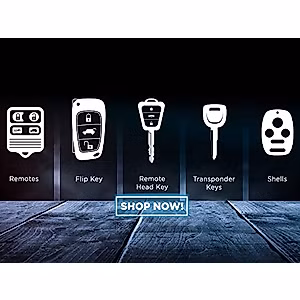 KeylessOption 4 Item Bundle 2 Key Fobs Keyless Entry Remotes for HYQ12BBX Plus 2 Uncut Ignition Keys
