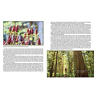 The Prepper's Guide to Foraging: How Wild Plants Can Supplement a Sustainable Lifestyle, Revised and Updated, Second Edition