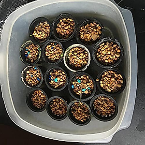 HAZOULEN Small Garden Plastic Net Cups Pots Fits in 2 Inch Holes, Set of 40