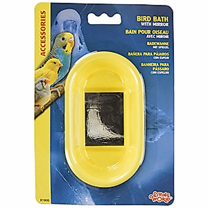 Living World Oval Bird Bath with Mirror (Colors may vary)