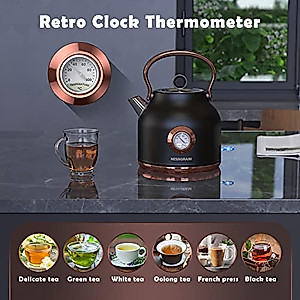 NESSGRAIM Retro Electric Kettle, 1.7L Stainless Steel Tea Kettle with Large Temperature Gauge, 1500W Fast Heating Hot Water Boiler with LED Indicator, Auto Shut-off & Boil-Dry Protection-Reteo Black