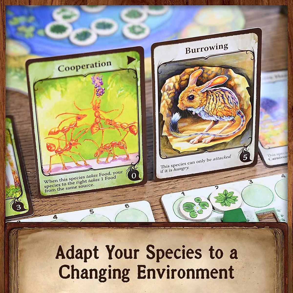 Northstar Game Studio Evolution Board Game | Beautiful Strategy Game for Adults, Teens and Families | Create Species in This Ecosystem Game | 2-6 Players, 60 Minutes, Age 12+