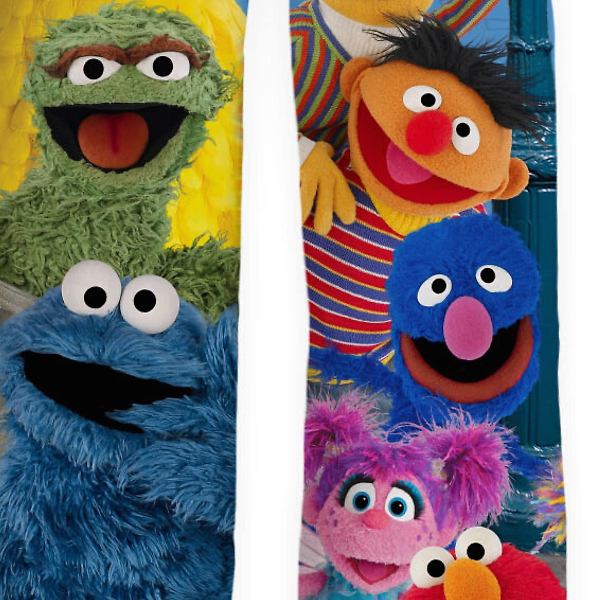 BRIEF INSANITY Sesame Street Adult Lounge Pajama Pants - Comfy, Loose-Fit, Ultra-Soft - Sesame Street Group Sleep Bottoms (Large)