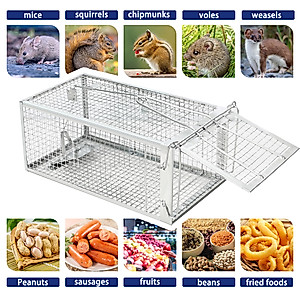 2 Pack Humane Rat Traps - Have a Heart Mouse Trap for Squirrel Mouse Rat Mice, Live Rat Traps Catch and Release for Indoors and Outdoors