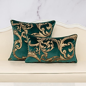Alerfa 20 x 20 Inch Teal Luxury Velvet European Garden Style Floral Pattern Cushion Case Square Throw Pillow Cover Decorative Pillow for Couch Sofa Living Room Bedroom Car