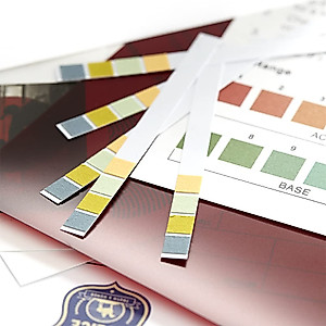 Hunt A Killer: Fine Art Foul Play - All-In-One Murder Mystery Box Game, Identify Who Within the Circle of the Deceased is The Killer, Review Fingerprints, Handwriting, Lab Reports, & Deductive Reason